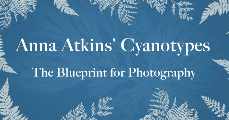 Anna Atkins' Cyanotypes – The Blueprint for Photography