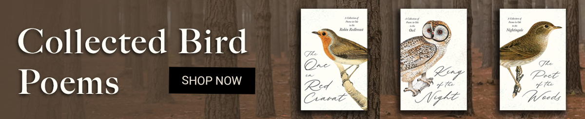 Birds in Poetry - A History of Our Feathered Friends | Read & Co. Books