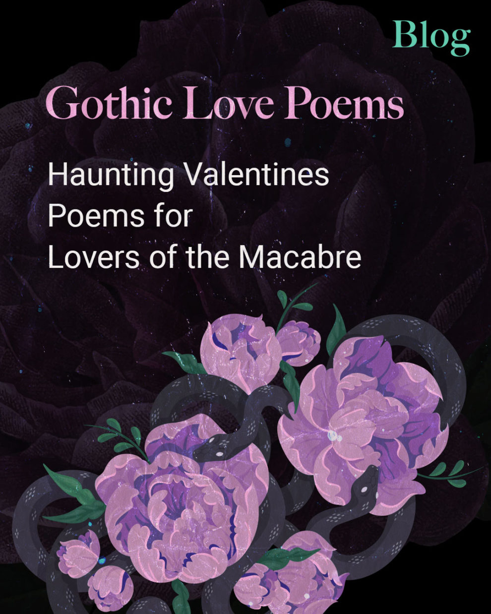 Gothic Love Poems | Read & Co. Books