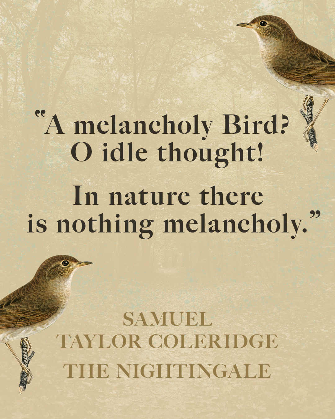 Birds in Poetry - A History of Our Feathered Friends | Read & Co. Books