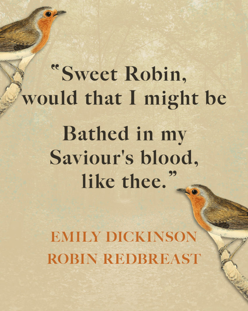 Birds in Poetry - A History of Our Feathered Friends | Read & Co. Books
