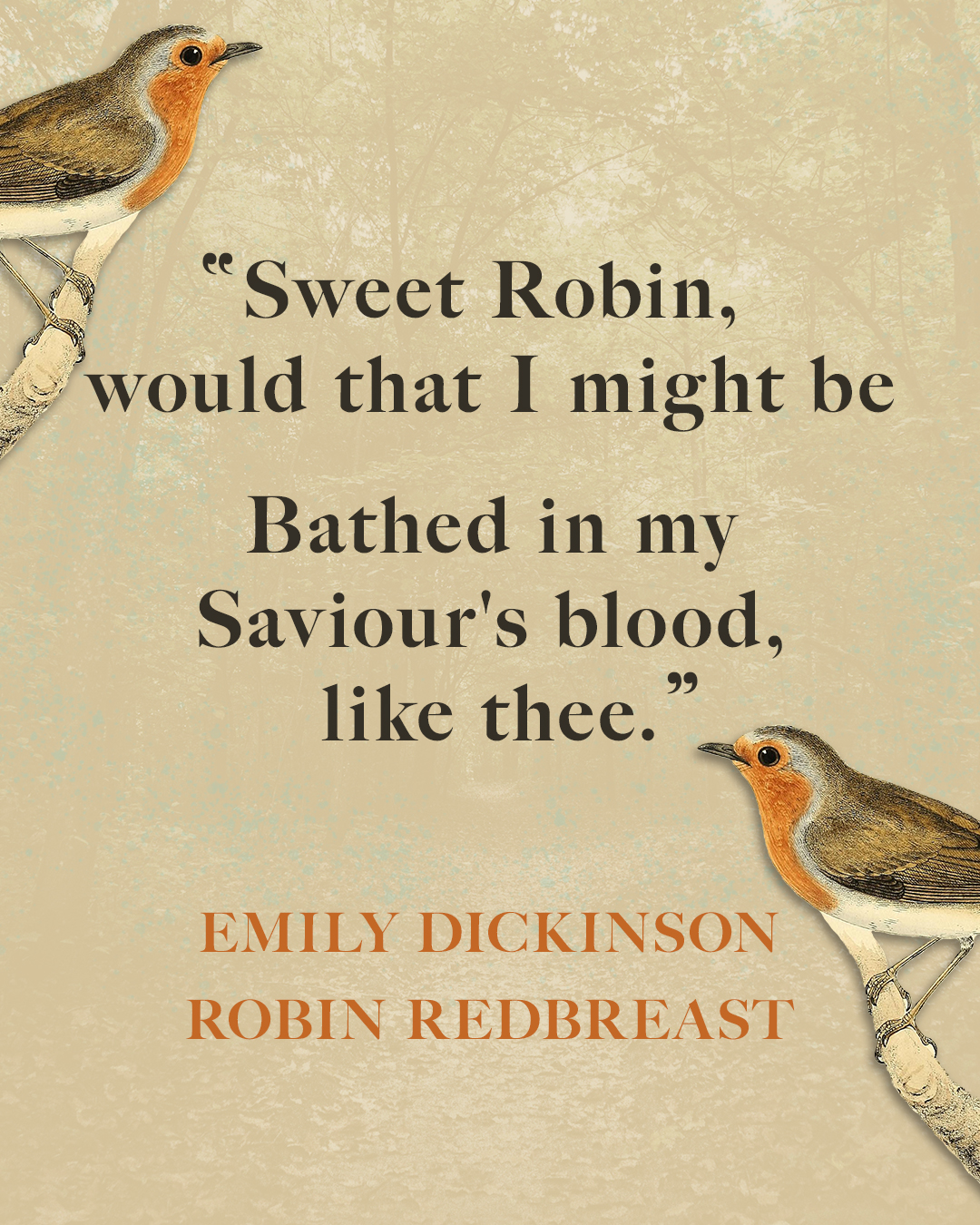 Birds in Poetry - A History of Our Feathered Friends | Read & Co. Books