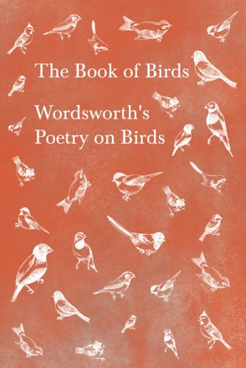 Birds in Poetry - A History of Our Feathered Friends | Read & Co. Books