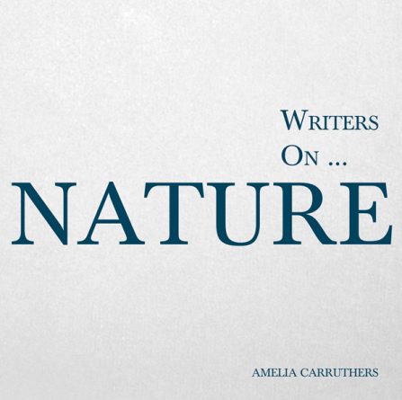 Non-Fiction | Read & Co. Books